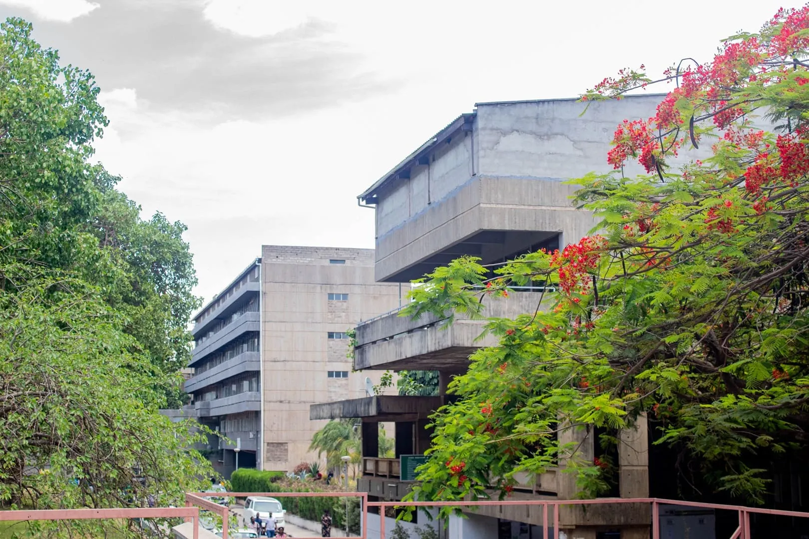 Staff | University of Zambia